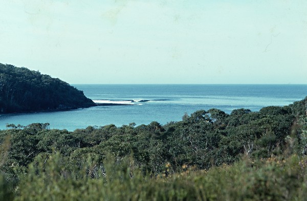 Surfing World | Worimi Country